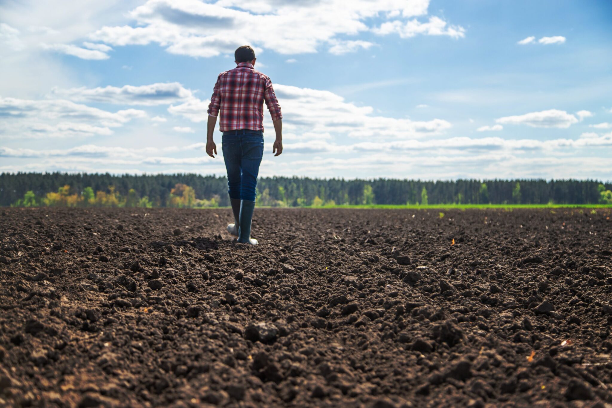 Cursos Intensivos da FarmFlix Premium 2025 | Blog MFA